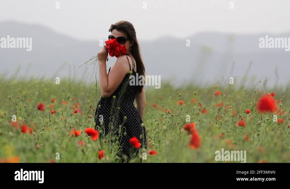 Field poppy bunch Stock Videos & Footage - HD and 4K Video Clips - Alamy