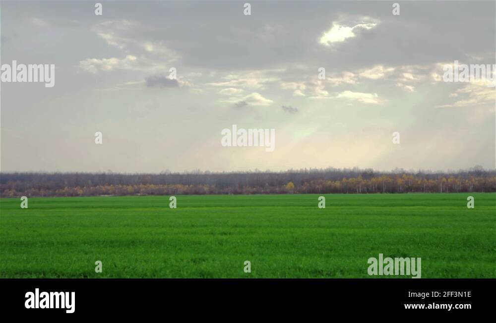 Field grass perfect sky Stock Videos & Footage - HD and 4K Video Clips ...