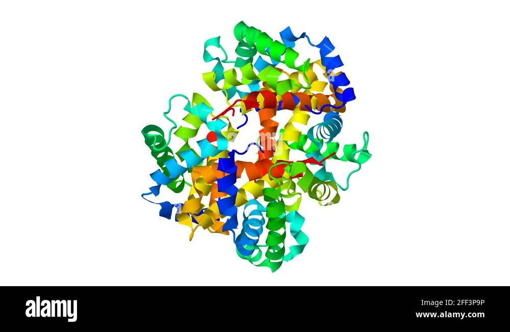 3d structure of haemoglobin Stock Videos & Footage - HD and 4K Video ...