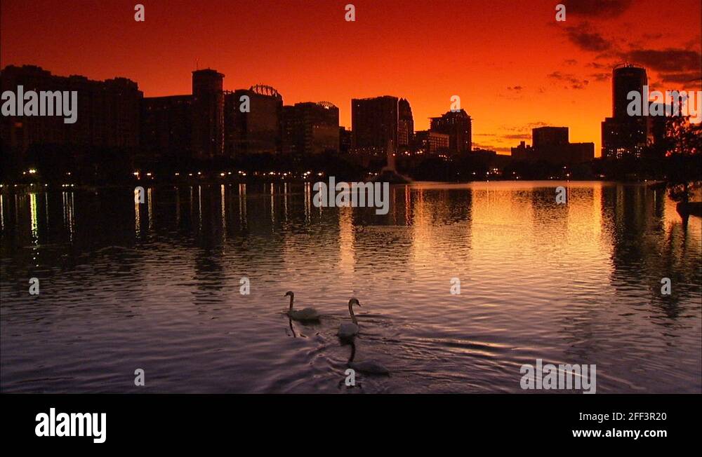 Orlando Stock Videos & Footage - HD and 4K Video Clips - Alamy