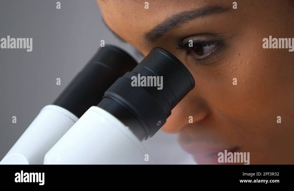 Looking through microscope Stock Videos & Footage - HD and 4K Video ...