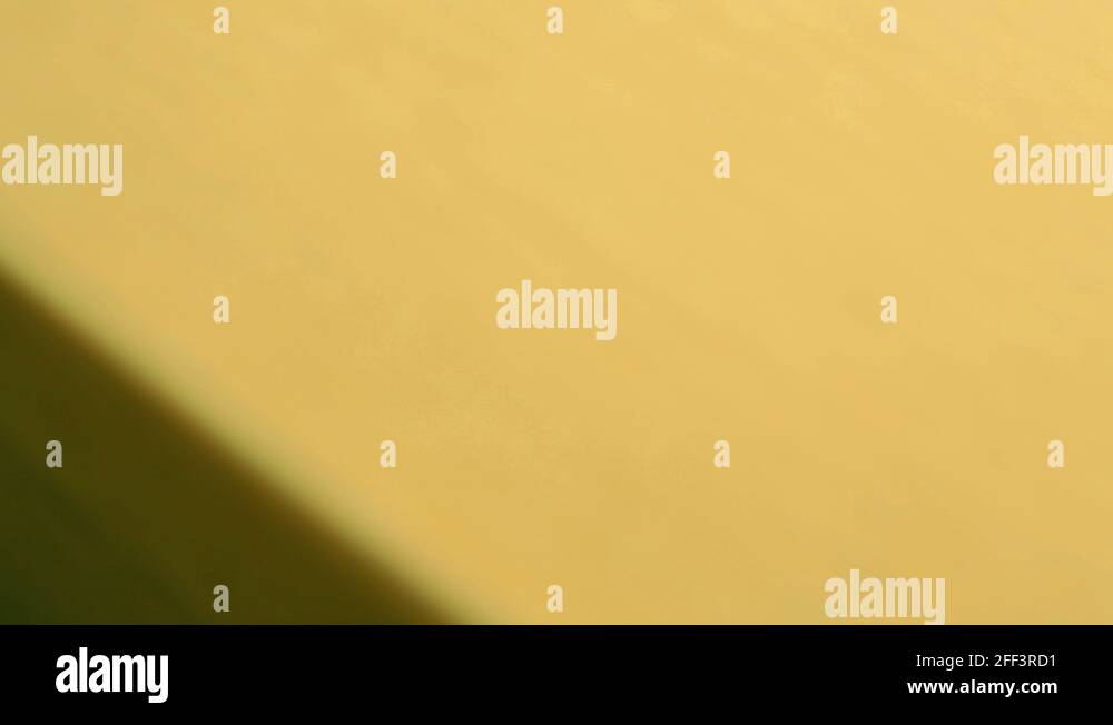 This side up package Stock Videos & Footage - HD and 4K Video Clips - Alamy