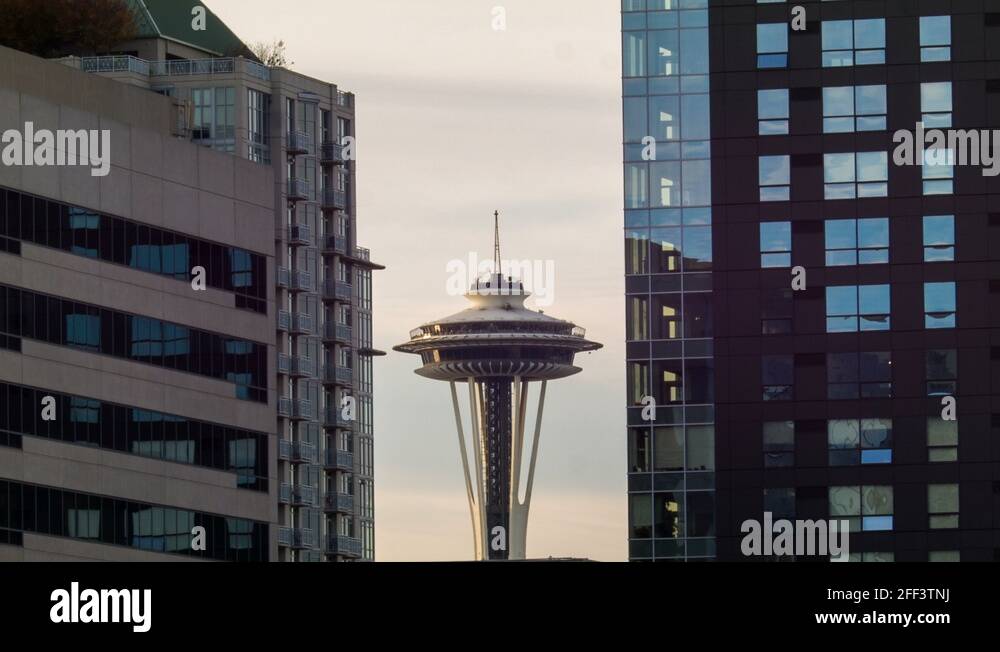 Tall needle Stock Videos & Footage - HD and 4K Video Clips - Alamy