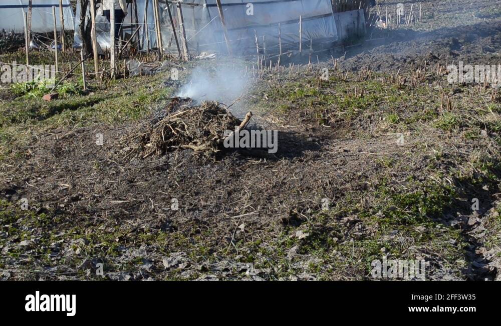 Garbage combustion Stock Videos & Footage - HD and 4K Video Clips - Alamy