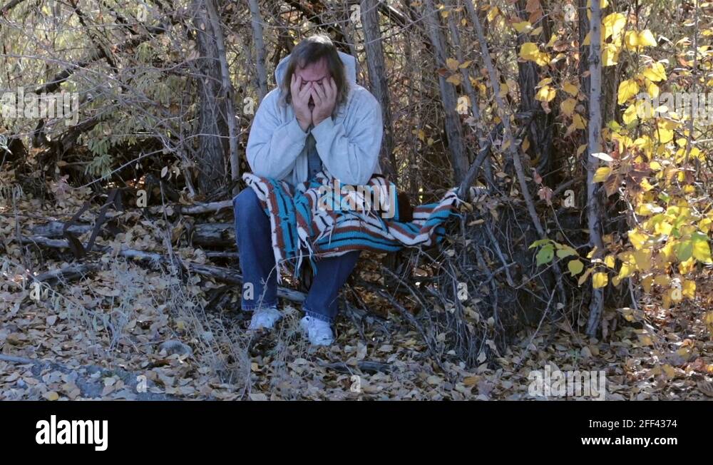 Urban park trees Stock Videos & Footage - HD and 4K Video Clips - Alamy