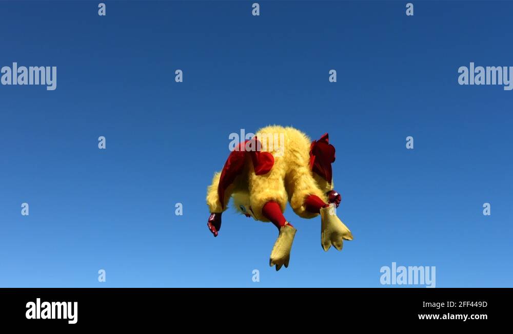Chicken mascot Stock Videos & Footage - HD and 4K Video Clips - Alamy