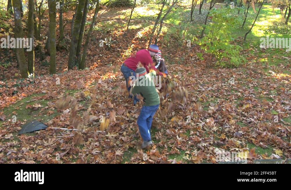 Children playing together in tree Stock Videos & Footage - HD and 4K ...