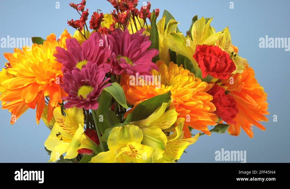 Flower color arrangement Stock Videos & Footage - HD and 4K Video Clips ...
