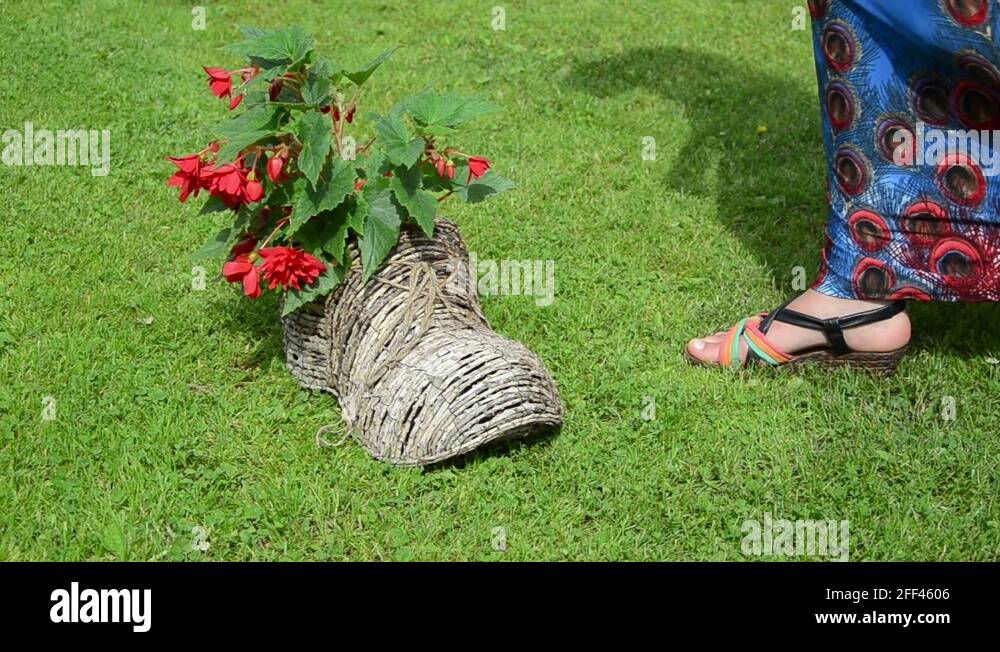 Flower pot shoe Stock Videos & Footage - HD and 4K Video Clips - Alamy