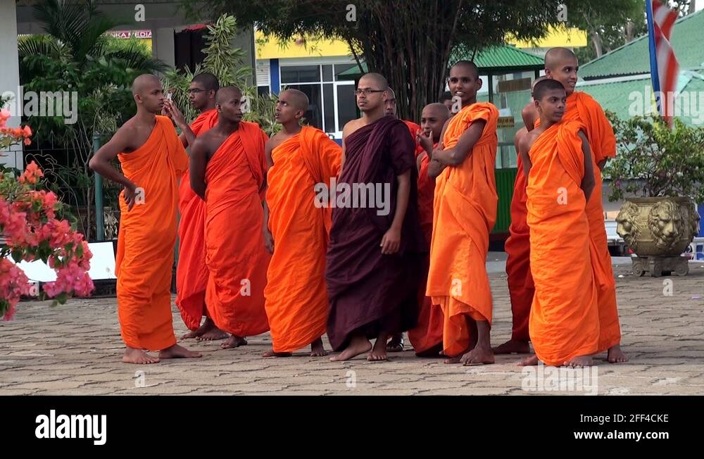 Buddhist young monks Stock Videos & Footage - HD and 4K Video Clips - Alamy