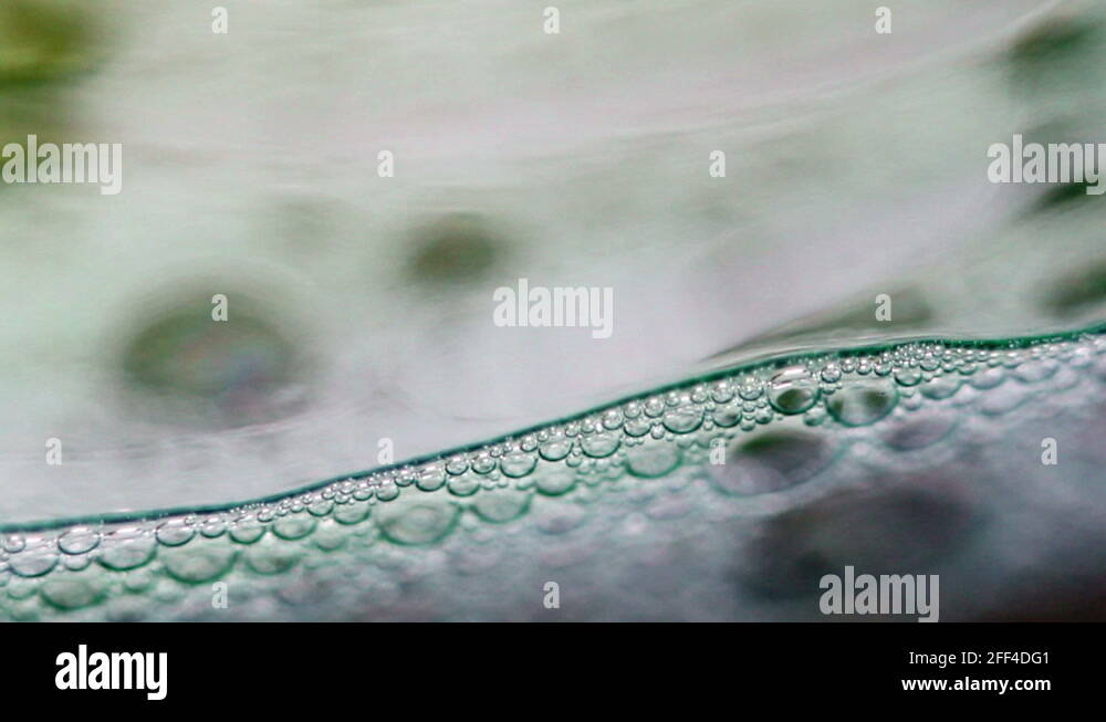 Macro bubbles Stock Videos & Footage - HD and 4K Video Clips - Alamy