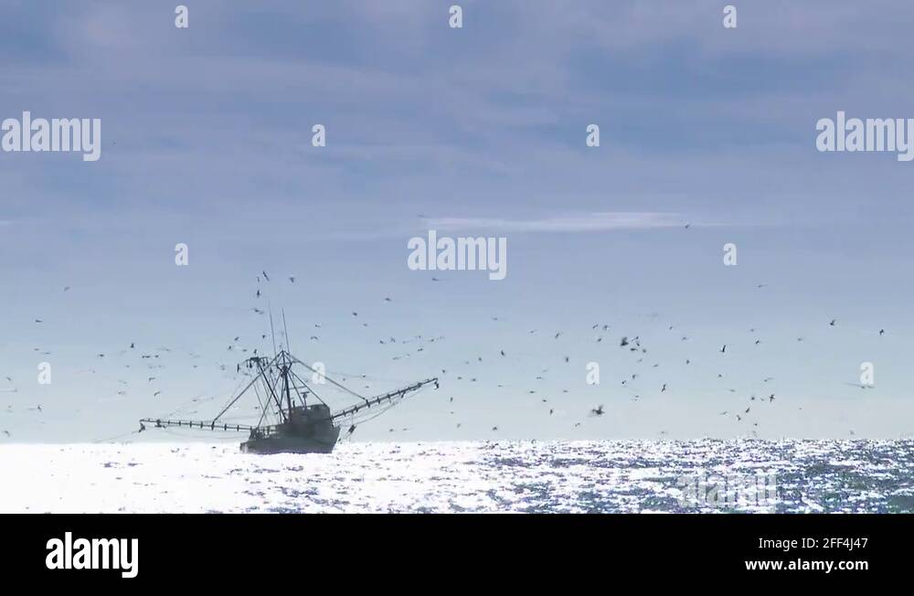 Ocean commercial fishery Stock Videos & Footage - HD and 4K Video Clips ...