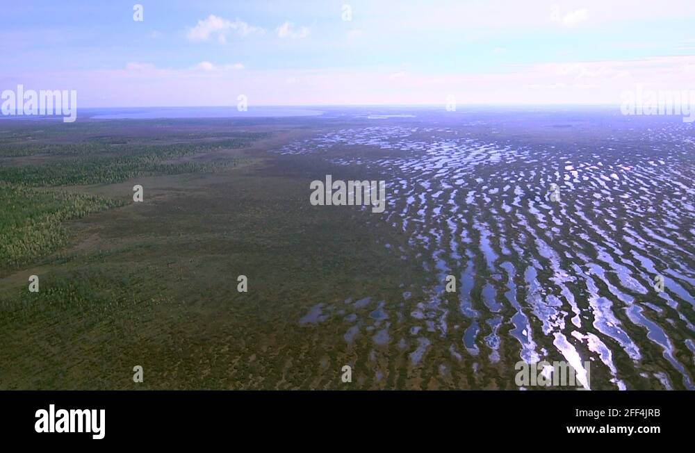 Taiga tundra Stock Videos & Footage - HD and 4K Video Clips - Alamy