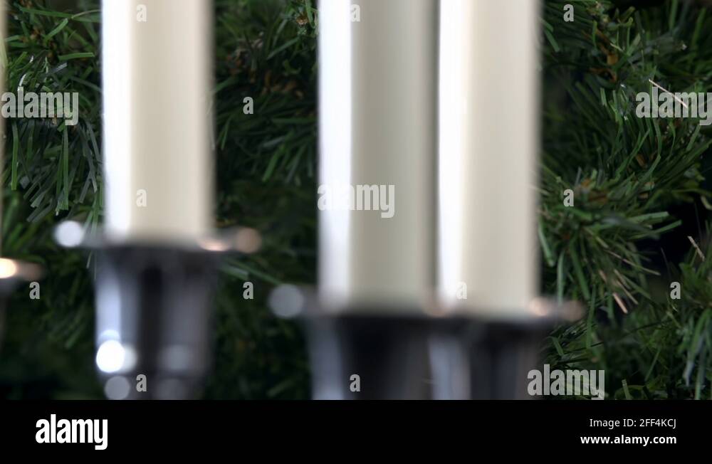 Candlestick tree Stock Videos & Footage - HD and 4K Video Clips - Alamy