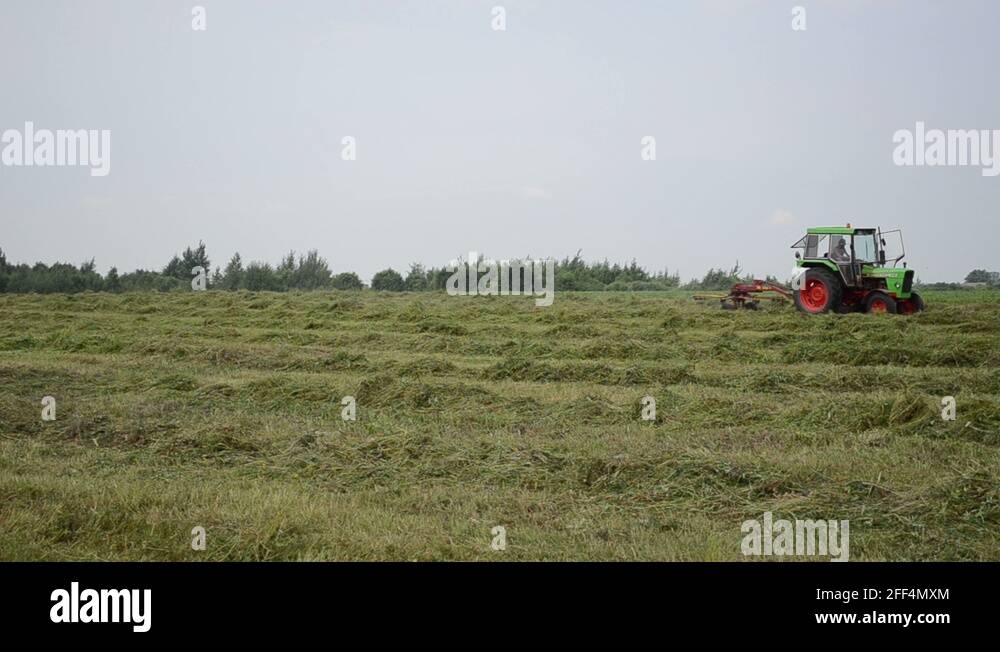 Turning the cut hay Stock Videos & Footage - HD and 4K Video Clips - Alamy