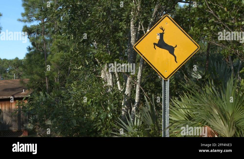 Wild animal crossing sign Stock Videos & Footage - HD and 4K Video ...