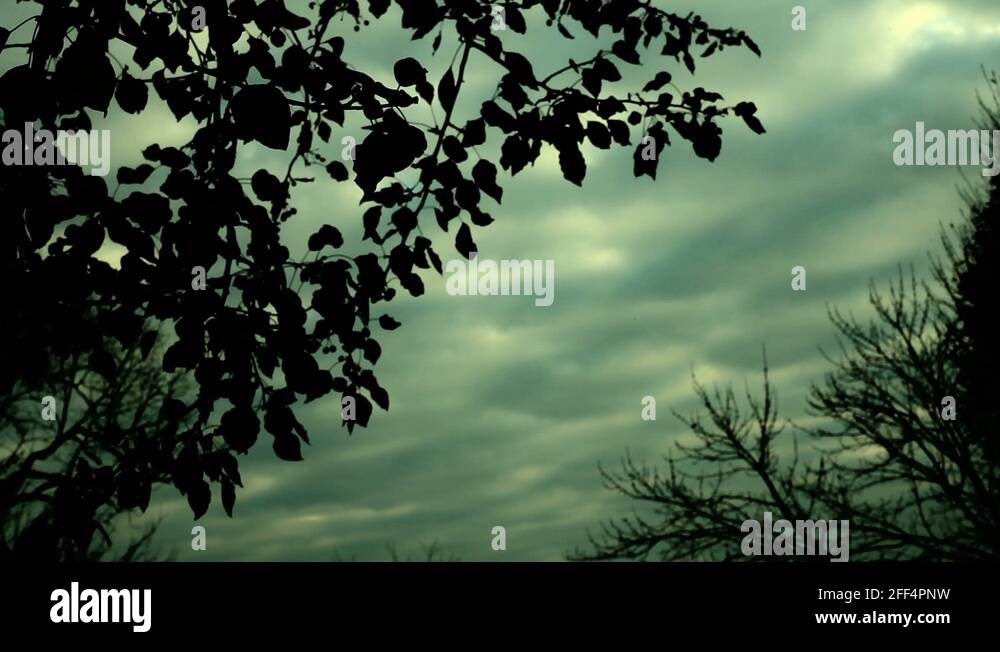 Dark figure Stock Videos & Footage - HD and 4K Video Clips - Alamy