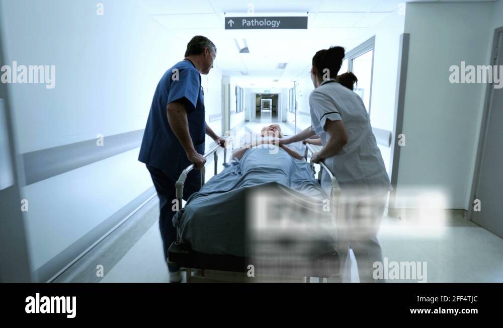 Patient data graphic Stock Videos & Footage - HD and 4K Video Clips - Alamy