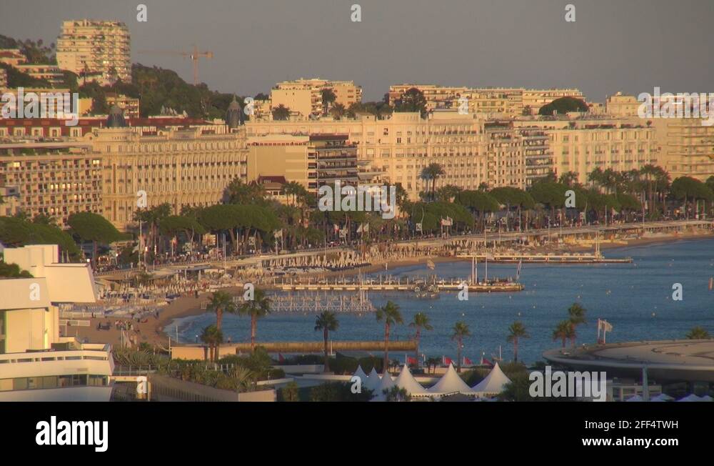 Cannes palm tree Stock Videos & Footage - HD and 4K Video Clips - Alamy