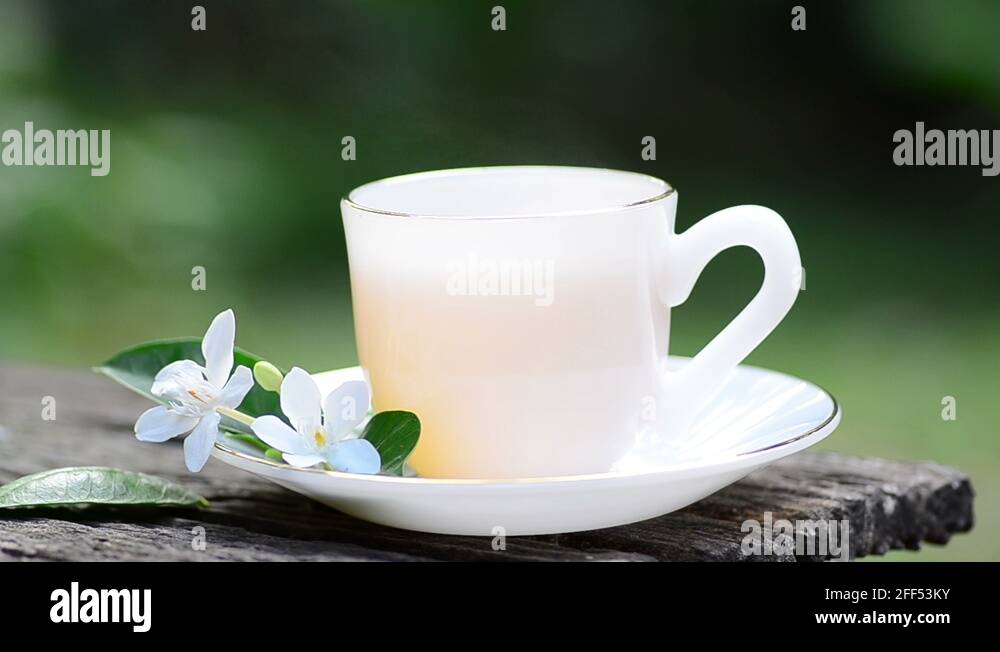 Closeup fresh tea flower Stock Videos & Footage - HD and 4K Video Clips ...