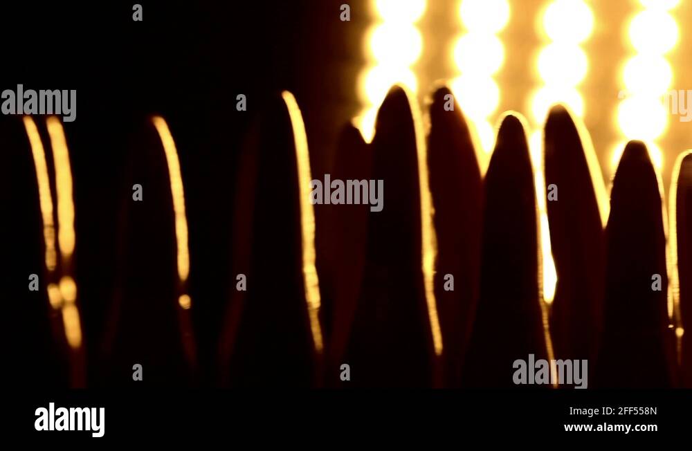 Bullets bullet Stock Videos & Footage - HD and 4K Video Clips - Alamy