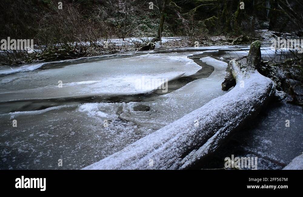 Oneonta gorge falls Stock Videos & Footage - HD and 4K Video Clips - Alamy