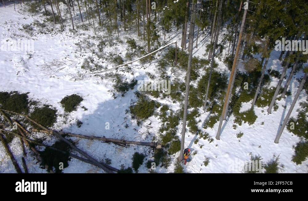 People falling aerial Stock Videos & Footage - HD and 4K Video Clips ...