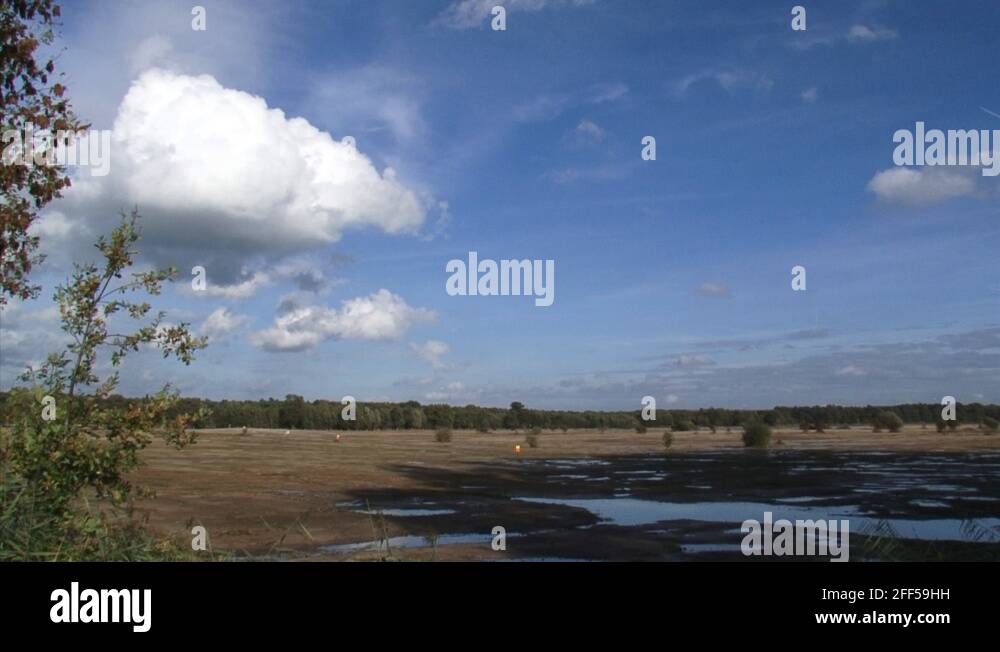 Wetland rewilding Stock Videos & Footage - HD and 4K Video Clips - Alamy