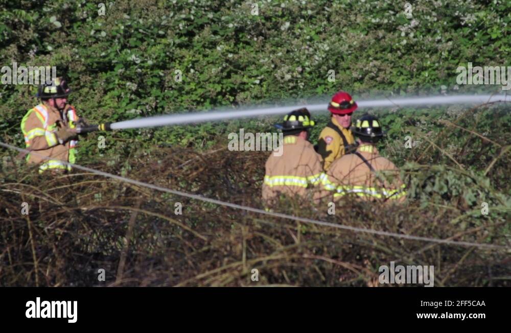 Line firefighters standing hose Stock Videos & Footage - HD and 4K ...