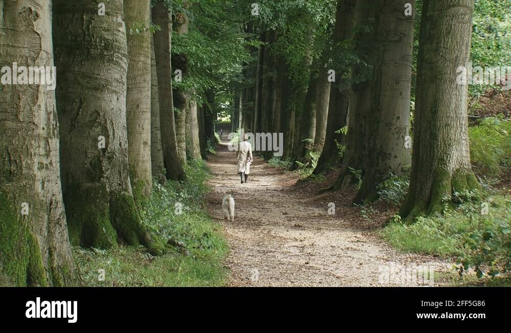 Walker lane Stock Videos & Footage - HD and 4K Video Clips - Alamy