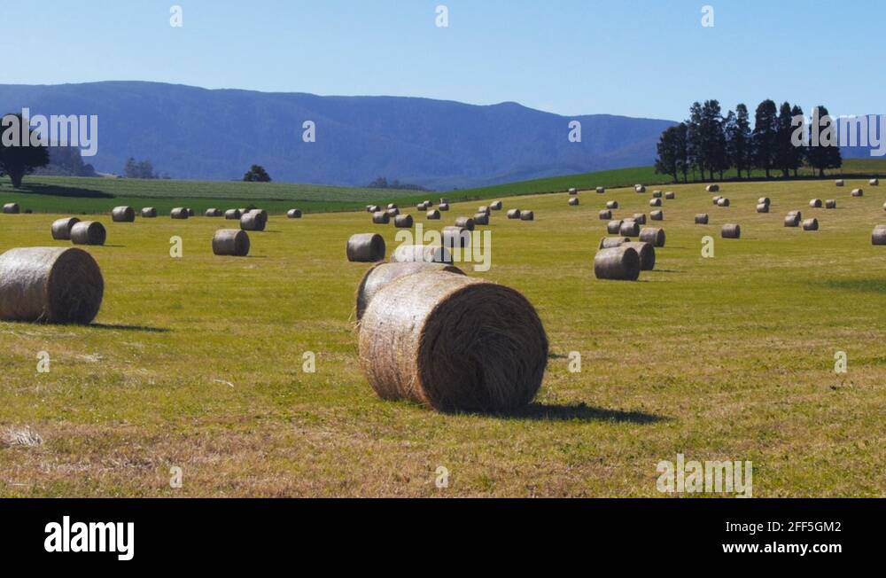 Harvesting hay australia Stock Videos & Footage - HD and 4K Video Clips ...
