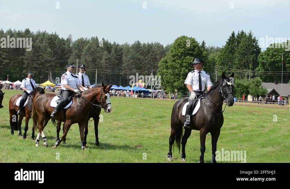 Mounted police horse Stock Videos & Footage - HD and 4K Video Clips - Alamy