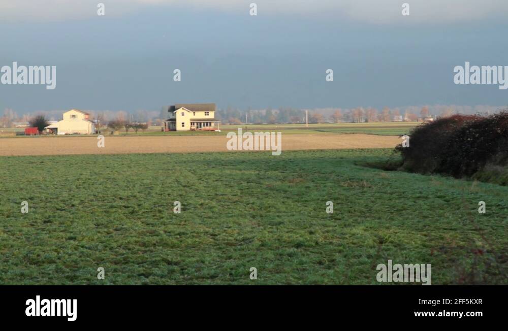 The levee Stock Videos & Footage - HD and 4K Video Clips - Alamy