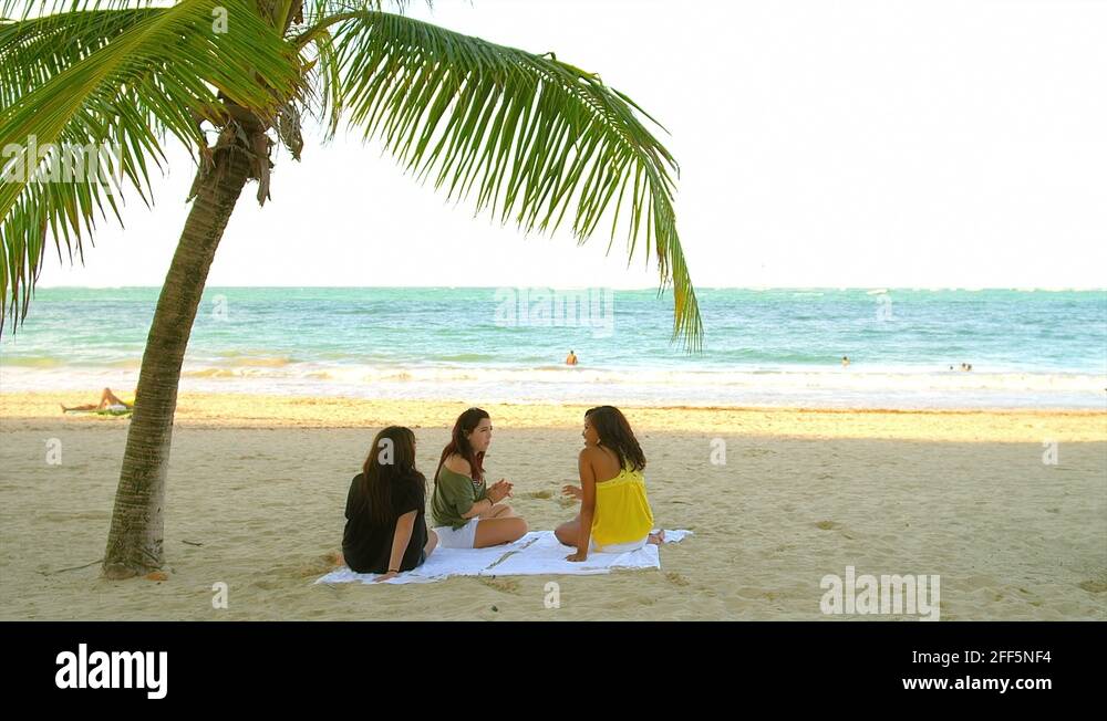 Sit under a tree Stock Videos & Footage - HD and 4K Video Clips - Alamy