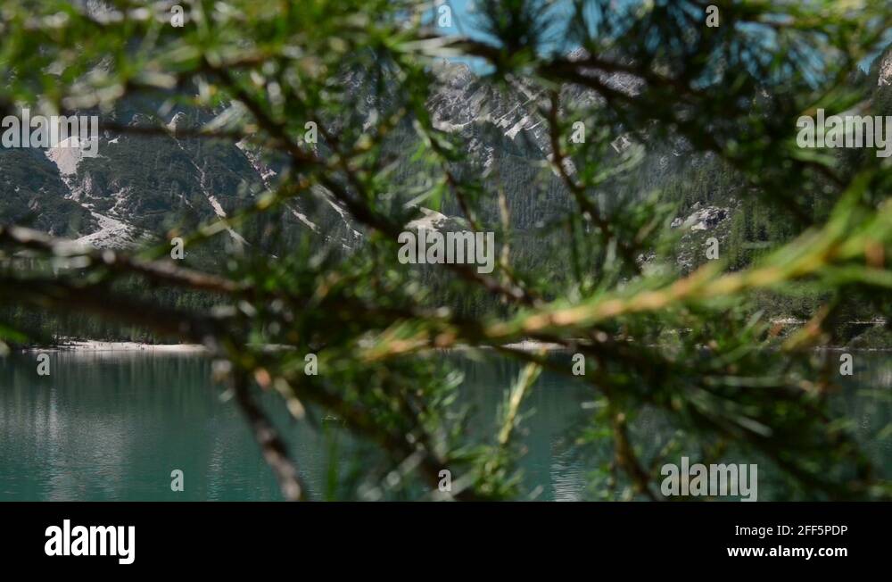 Brench Stock Videos & Footage - HD and 4K Video Clips - Alamy