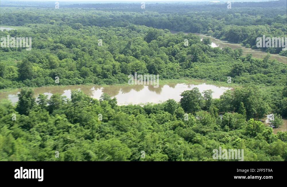 Mississippi river ecology Stock Videos & Footage - HD and 4K Video ...