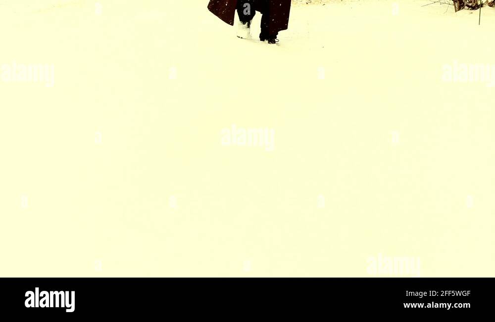 Evolution of man walking Stock Videos & Footage - HD and 4K Video Clips ...