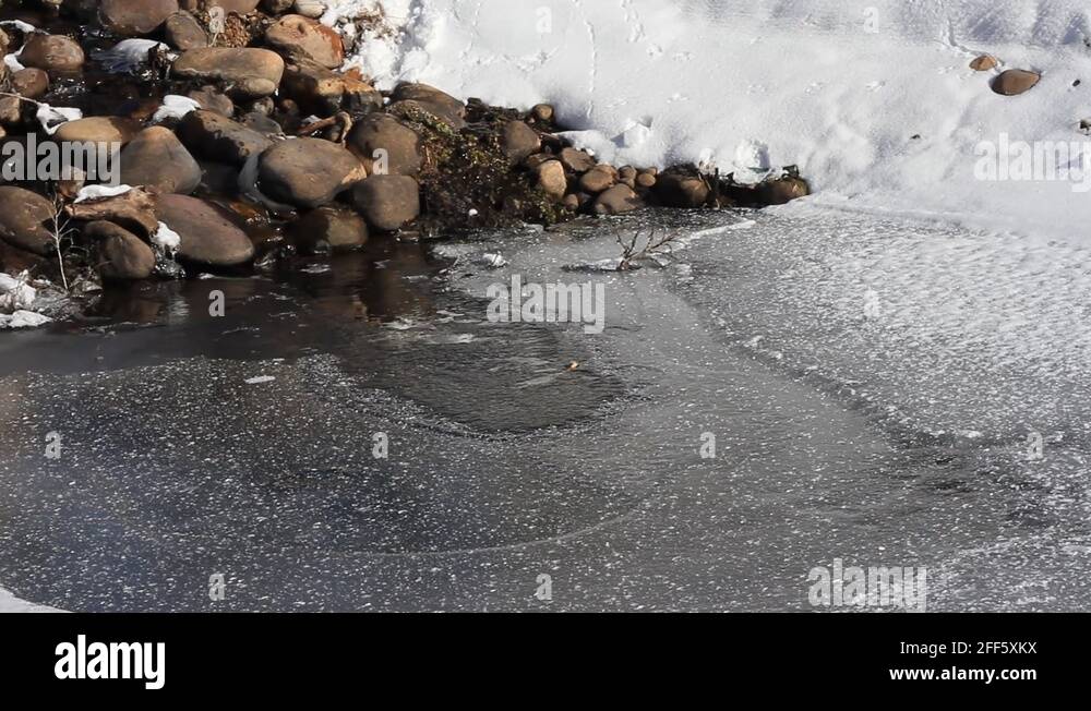 Snow melt pond Stock Videos & Footage - HD and 4K Video Clips - Alamy
