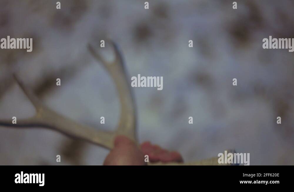 Celtic mythology Stock Videos & Footage - HD and 4K Video Clips - Alamy