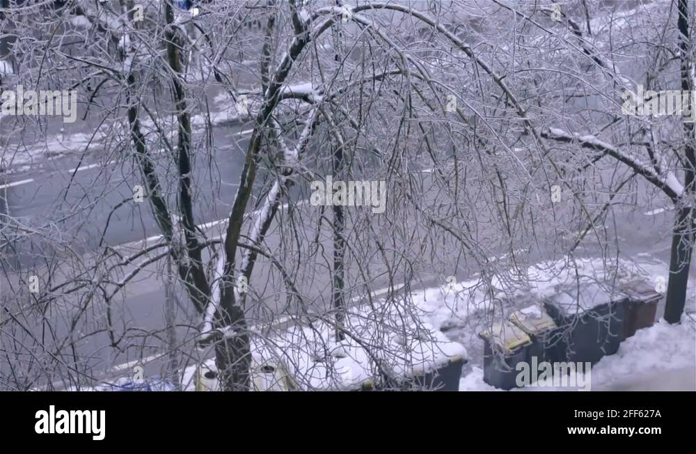 Dangerous tree Stock Videos & Footage - HD and 4K Video Clips - Alamy