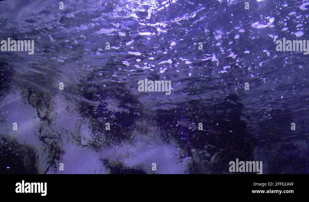 Water surface viewed under Stock Videos & Footage - HD and 4K Video ...