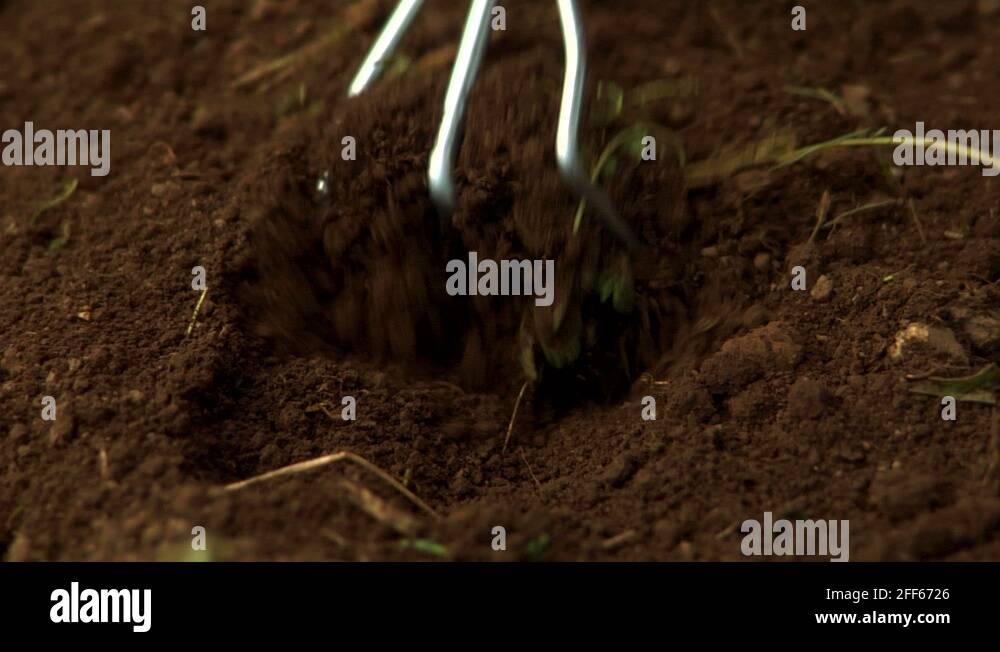 Raked soil Stock Videos & Footage - HD and 4K Video Clips - Alamy