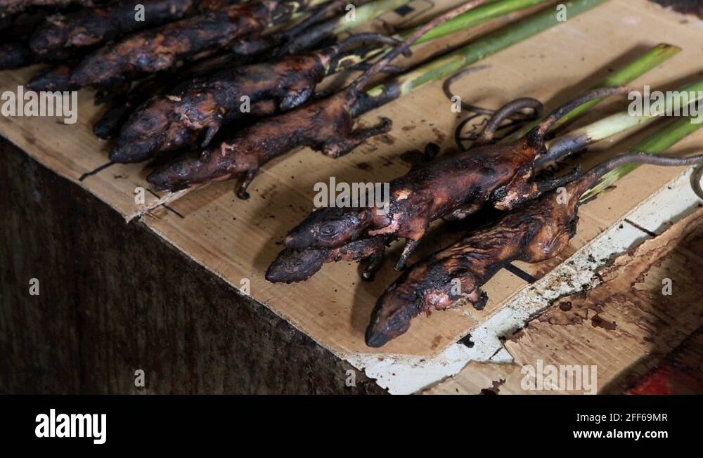 Rat meat market Stock Videos & Footage - HD and 4K Video Clips - Alamy