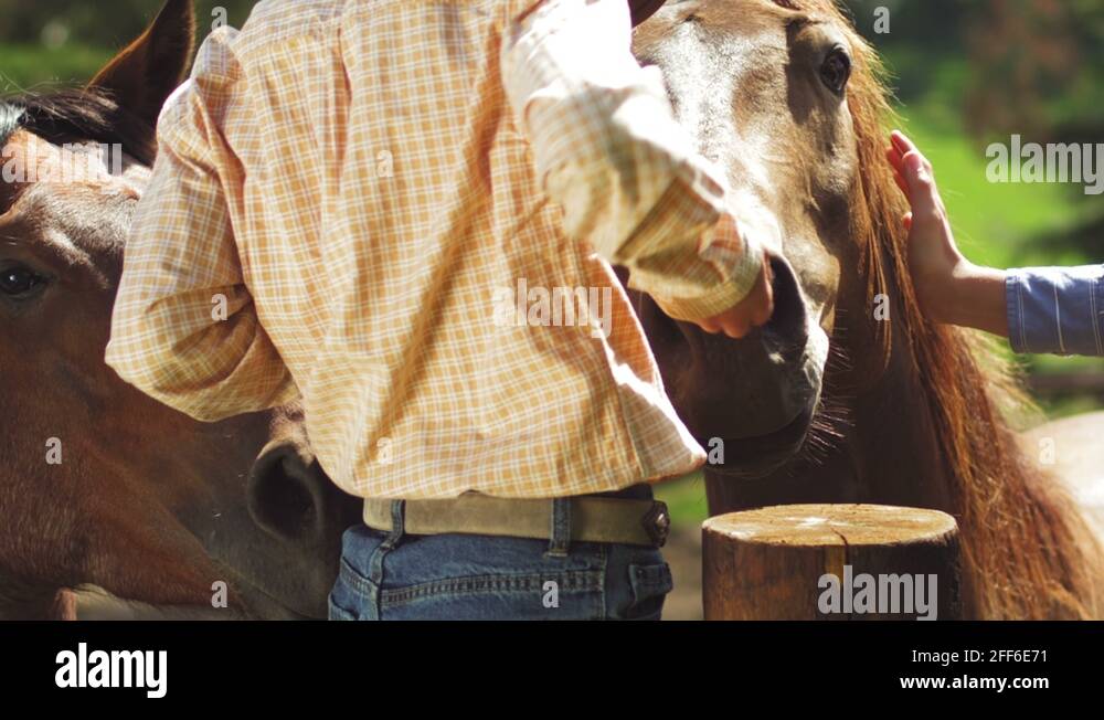 Two boys riding horse in Stock Videos & Footage - HD and 4K Video Clips ...