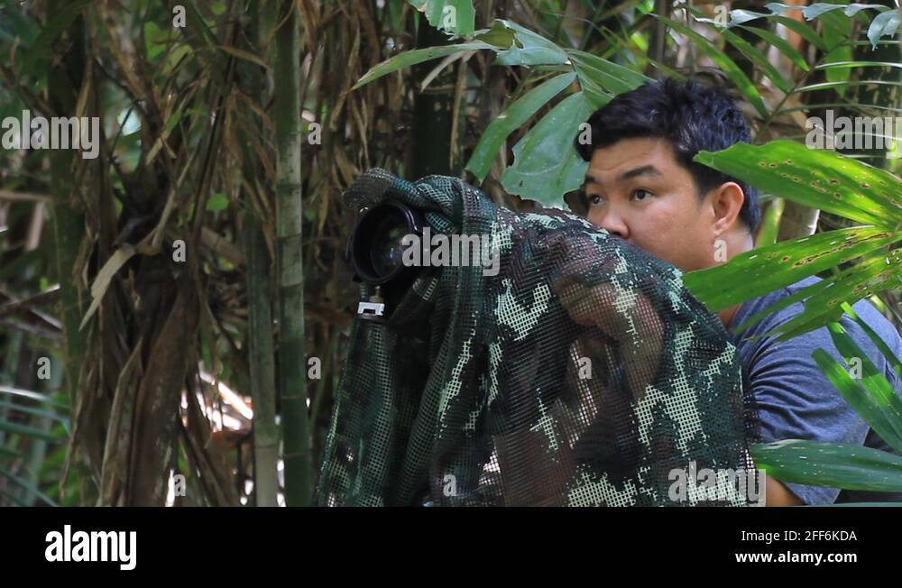 Do not disturb the wildlife Stock Videos & Footage - HD and 4K Video ...