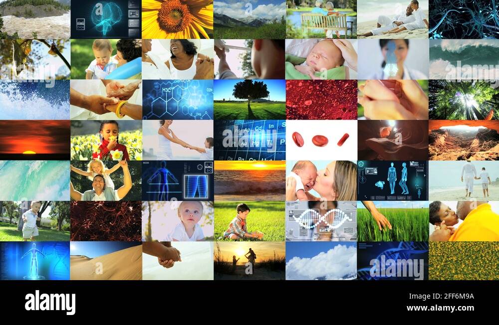 Brain neuron forest Stock Videos & Footage - HD and 4K Video Clips - Alamy