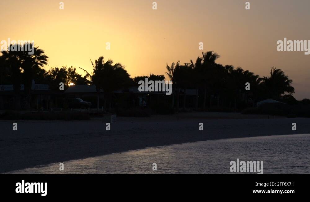 Shark bay marine park Stock Videos & Footage - HD and 4K Video Clips ...