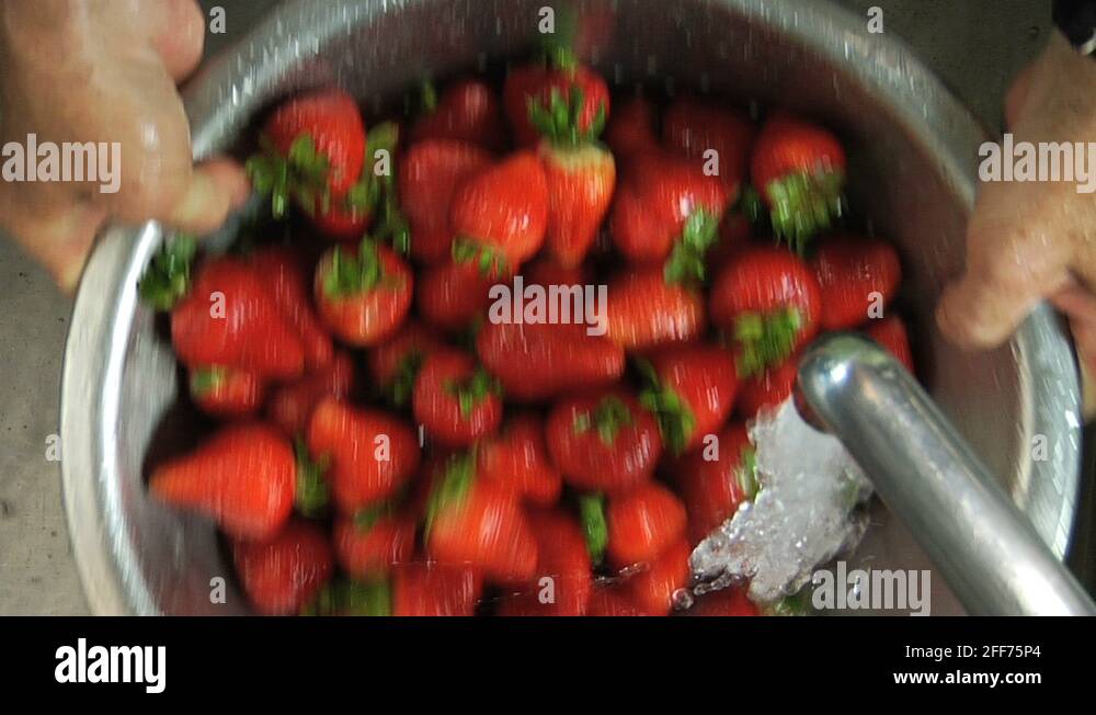 Washing strawberries Stock Videos & Footage - HD and 4K Video Clips - Alamy