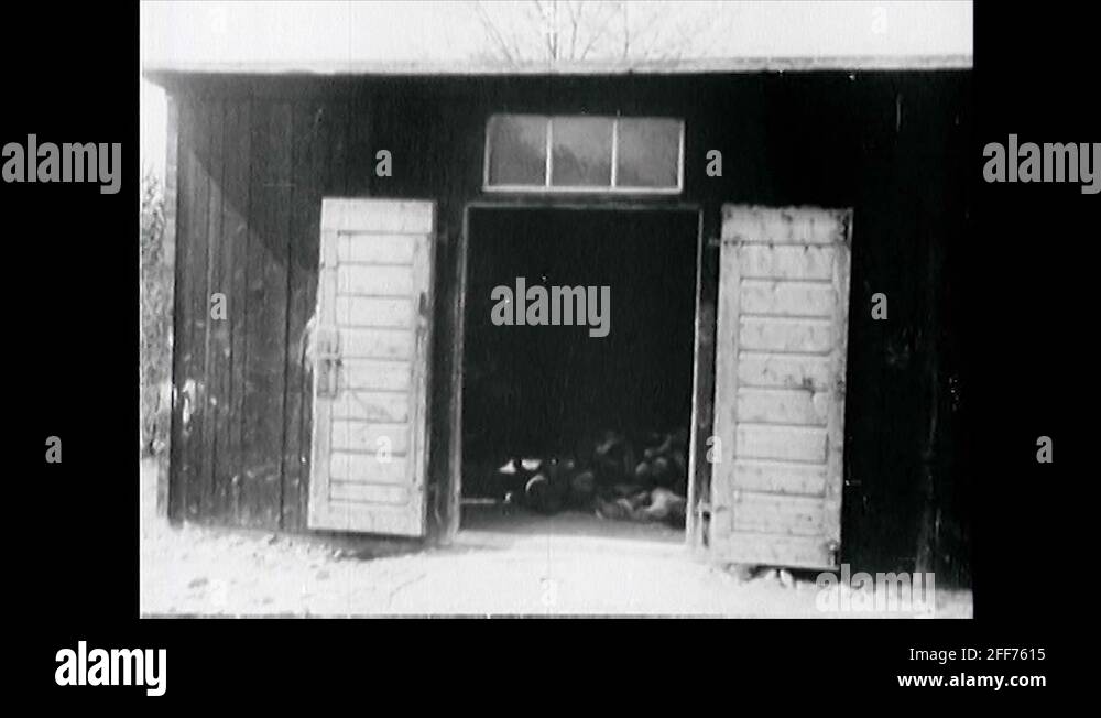 German atrocity Stock Videos & Footage - HD and 4K Video Clips - Alamy