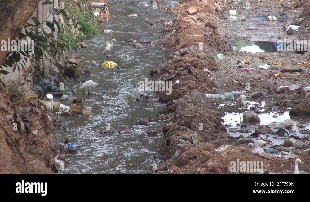 Open sewer canal Stock Videos & Footage - HD and 4K Video Clips - Alamy